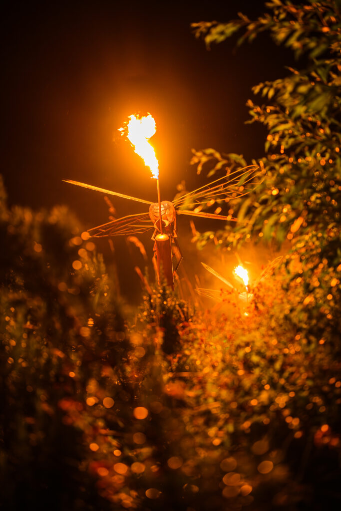 Home - Wilde Weide Festival